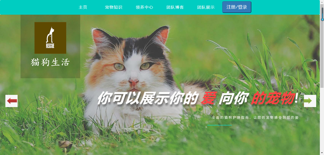 GitHub - wang-buer/SSM-based-pet-adoption-management-system-3: 基于ssm的宠物 ...